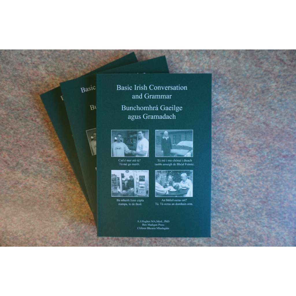 Basic Irish Conversation and Grammar (Bunchomhrá Gaeilge agus Gramadach ...